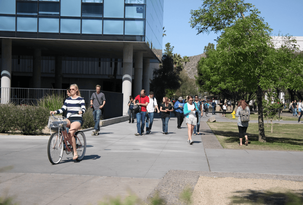 Bachelor of Science – Applied Mathematics for Life and Social - abroady